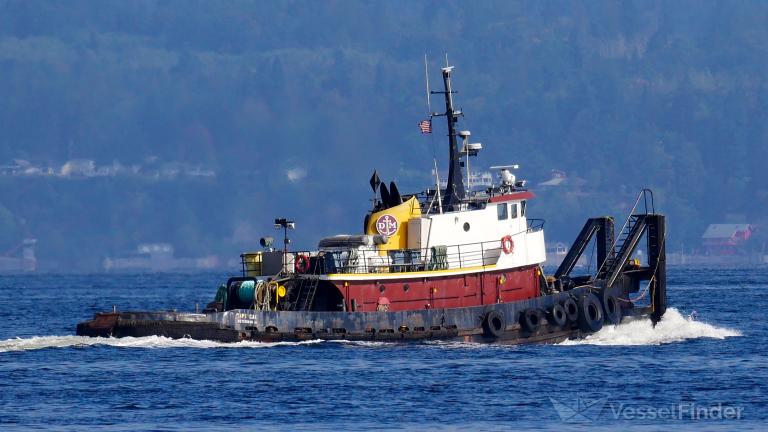 CAPT CAE, Tug - Detalles del buque y posición actual - IMO 7829780 ...