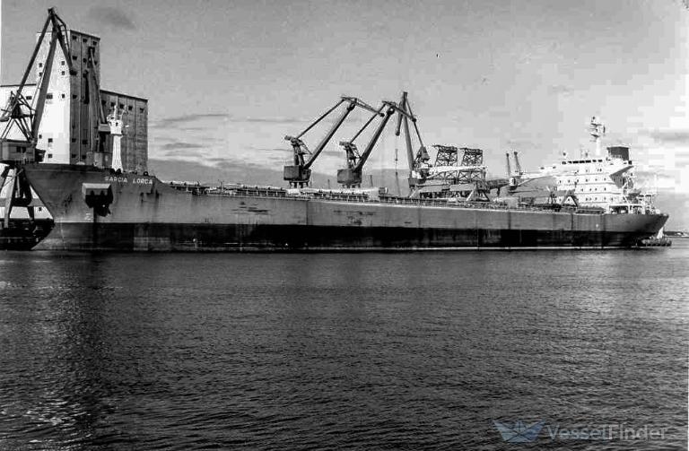 C TRADER, Bulk Carrier - Details and current position - IMO 7931832 ...