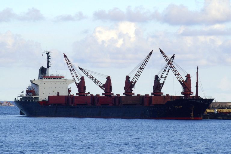 SILVANA, Bulk Carrier - Details and current position - IMO 7932587 ...