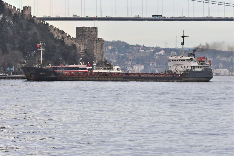 BARON, Ore/Oil Carrier - Details and current position - IMO 7941239 ...