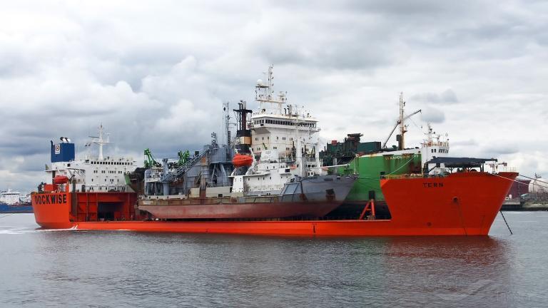 TERN, Heavy Load Carrier - Details and current position - IMO 8000977 ...