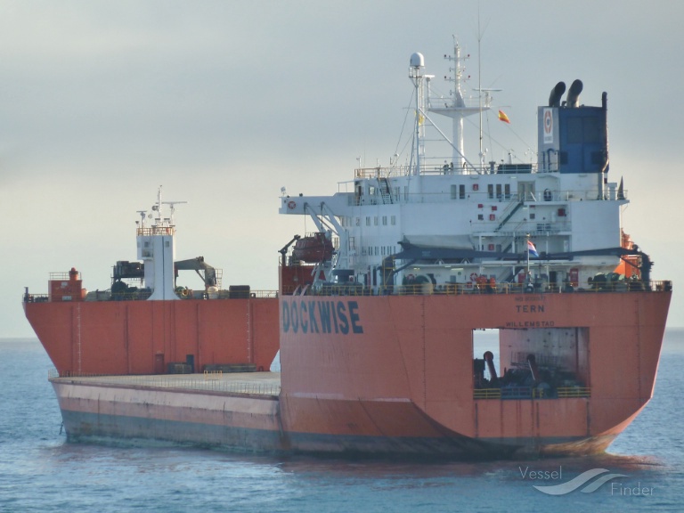 TERN, Heavy Load Carrier - Details and current position - IMO 8000977 ...