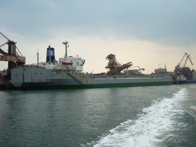 GEORGIA S, Self Discharging Bulk Carrier - Details and current position ...