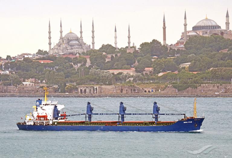 MEGA STAR, Bulk Carrier - Details and current position - IMO 8009533 ...