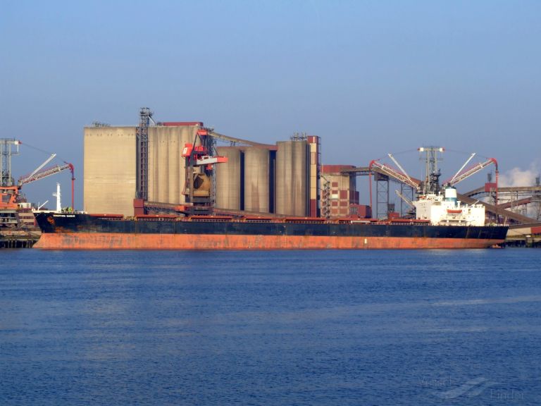 EAGLE, Bulk Carrier - Details and current position - IMO 8022456 ...