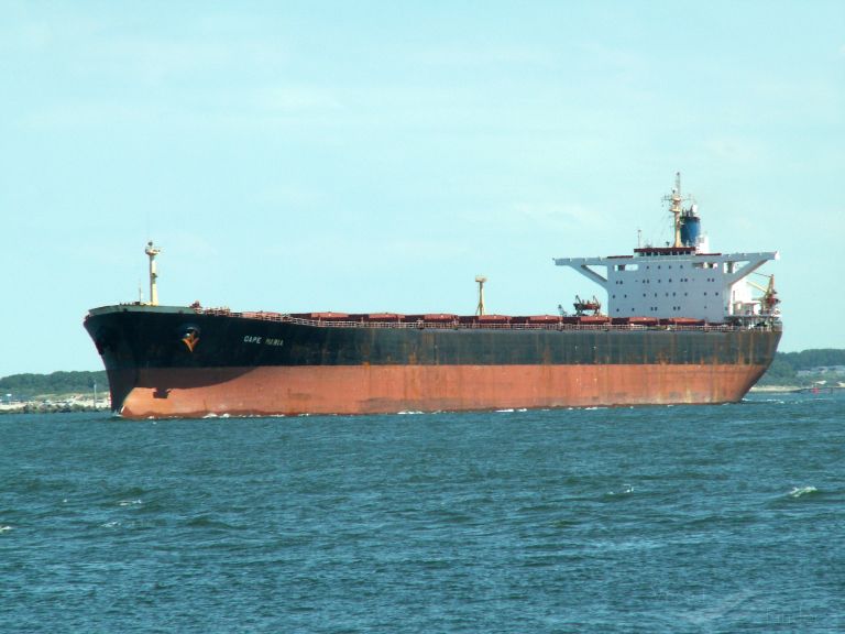 SEALINK MAJESTY, Bulk Carrier - Details and current position - IMO ...