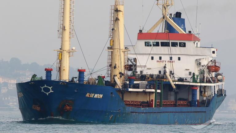 BLUE MOON, General Cargo Ship - Details and current position - IMO ...