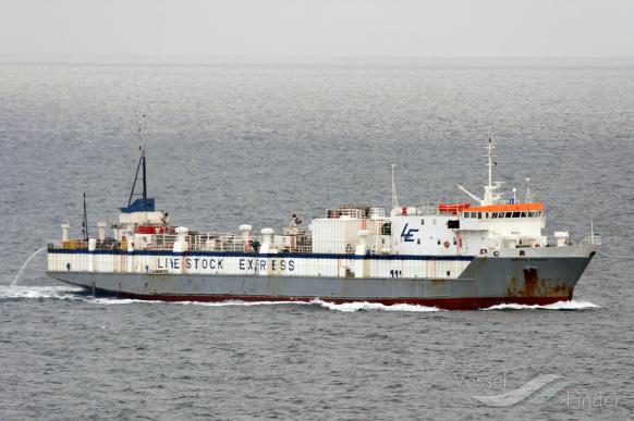 BUFFALO EXPRESS, Livestock Carrier - Details and current position - IMO 8124424 - VesselFinder
