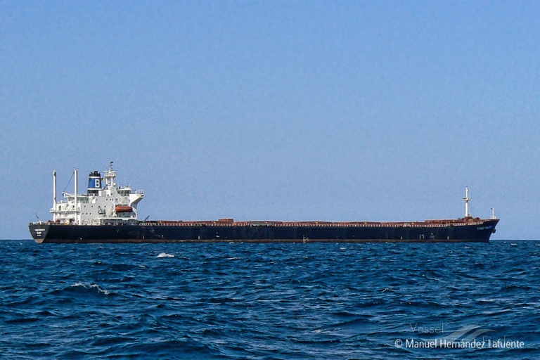 VSP RUBY, Bulk Carrier - Details and current position - IMO 8125820 ...