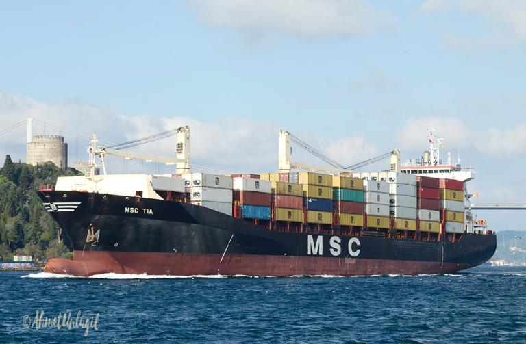 MSC TIA, Container Ship - Details and current position - IMO 8212635 ...