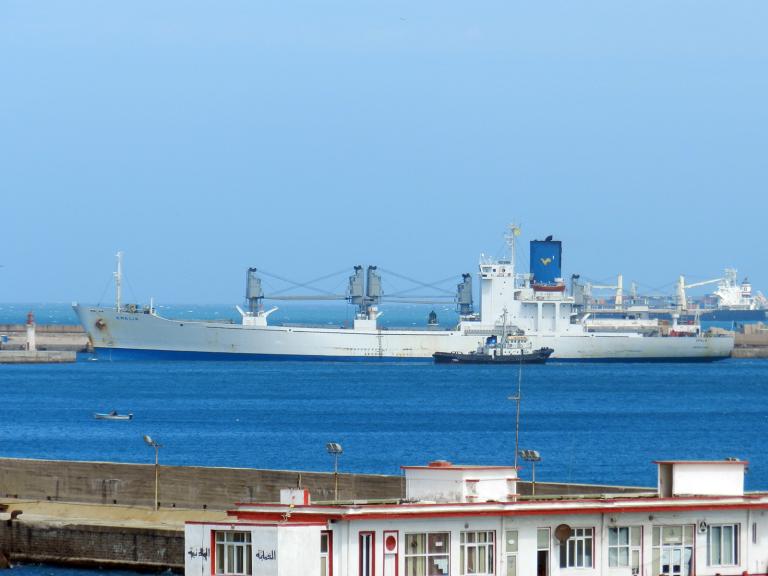 AMALIA, Refrigerated Cargo Ship - Details and current position - IMO ...