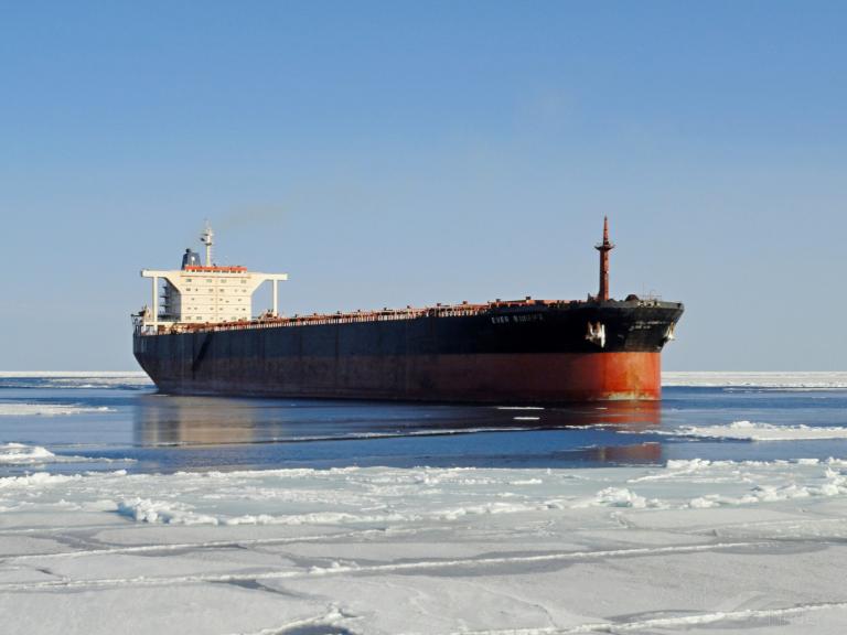 EVER BRIGHT, Bulk Carrier - Details and current position - IMO 8224652 ...