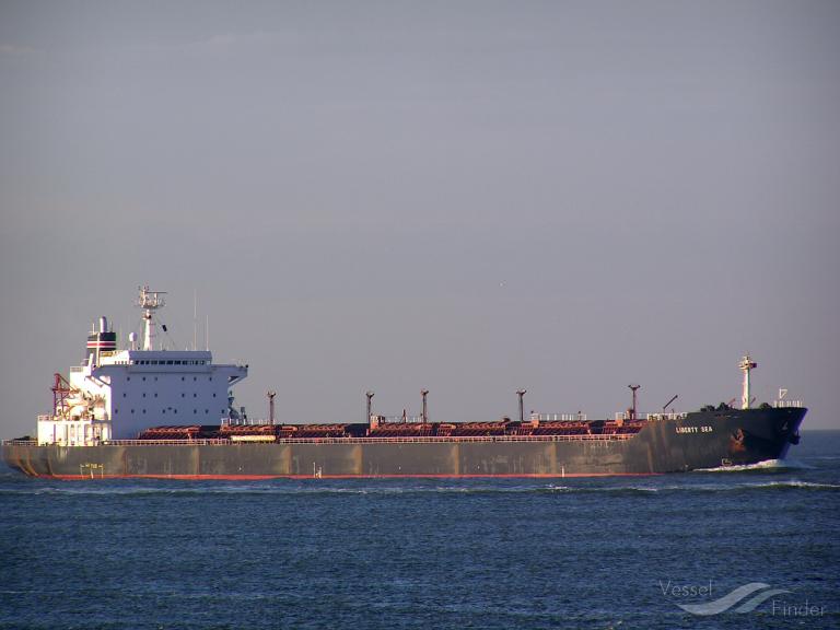 VSP DIAMOND, Bulk Carrier - Details and current position - IMO 8300901 ...