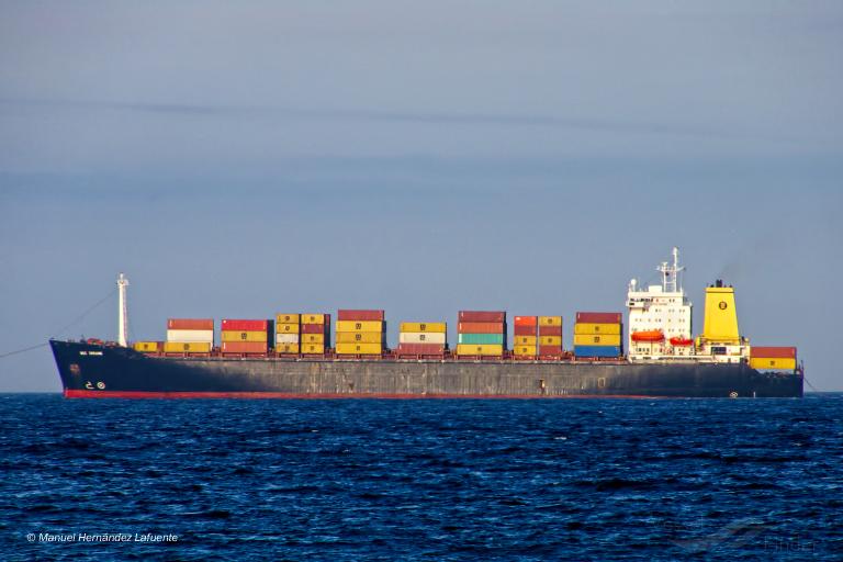 MSC UKRAINE, Container Ship - Details and current position - IMO ...