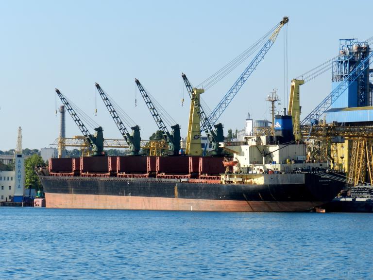 AMAL I, Bulk Carrier - Details and current position - IMO 8309294 ...