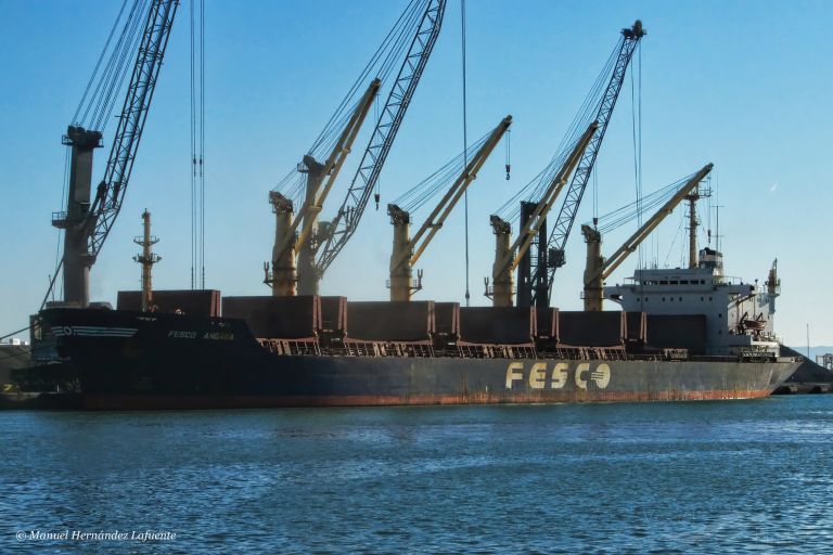 ANGARA, Bulk Carrier - Details and current position - IMO 8311156 ...