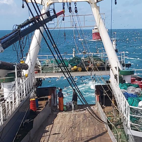 FONSECA, Fishing Vessel - Details and current position - IMO 8311405 ...