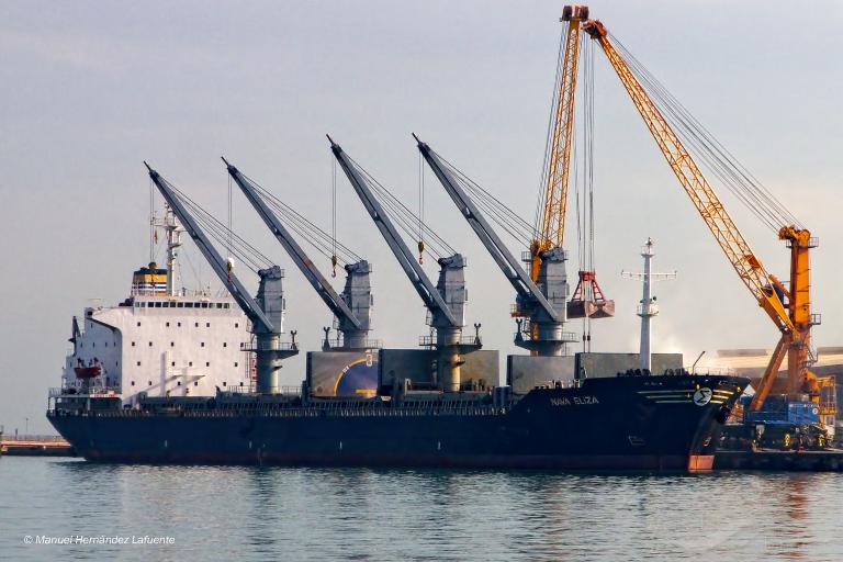 NAVA ELIZA, Bulk Carrier - Details and current position - IMO 8312045 ...