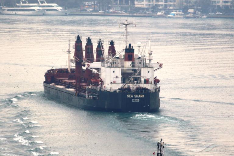 SEA SHARK, Bulk Carrier - Details and current position - IMO 8316338 ...