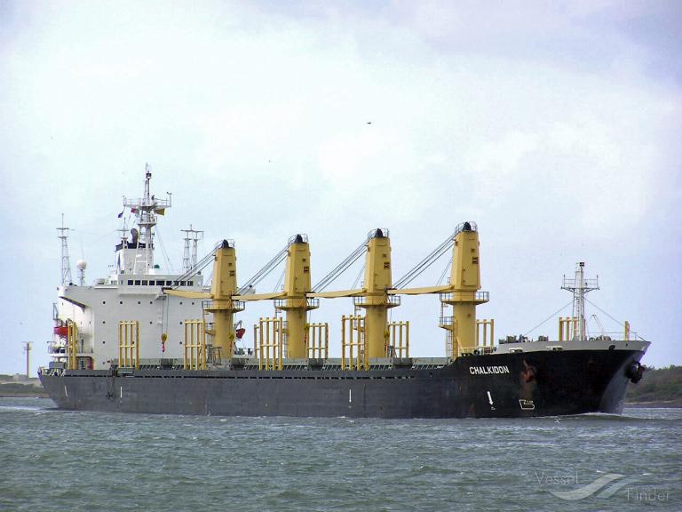 RISING PHOENIX, Bulk Carrier - Details and current position - IMO ...