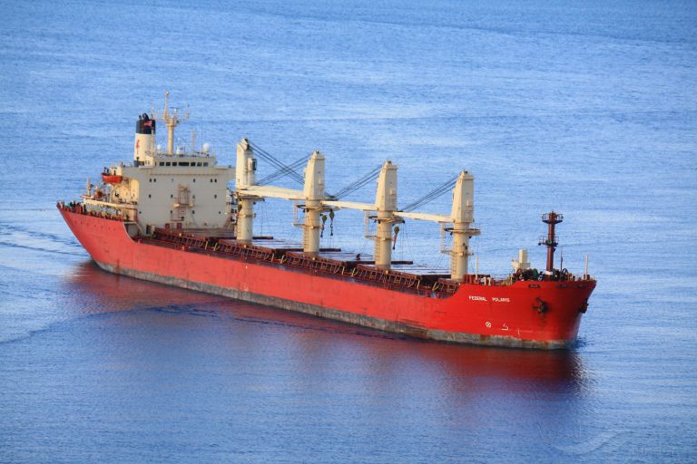 FEDERAL KASSER, Bulk Carrier - Details and current position - IMO ...