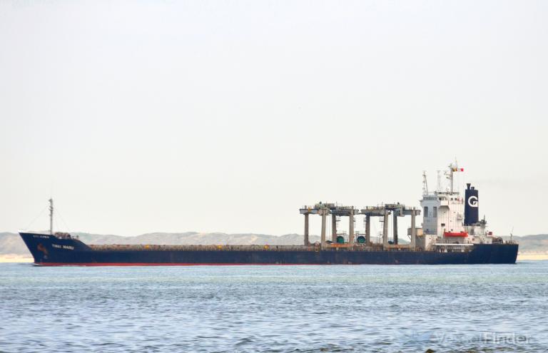 TIWAI MARU, General Cargo Ship - Details and current position - IMO ...
