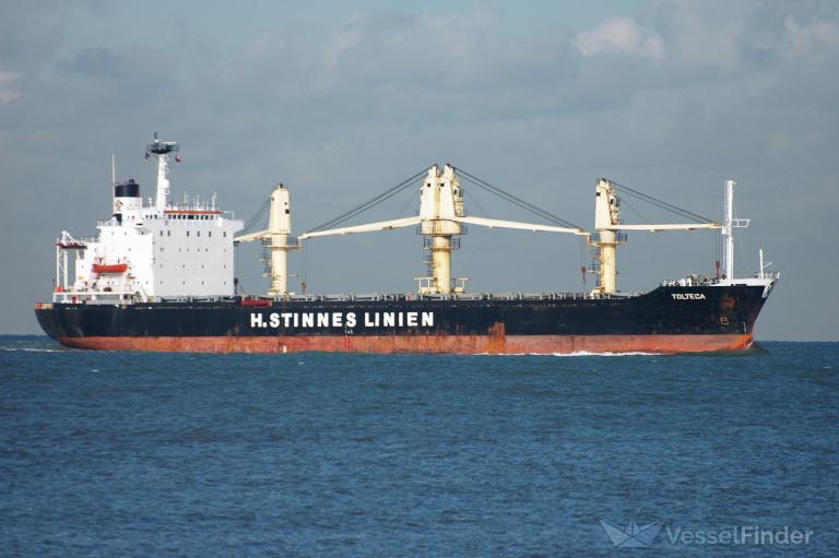 BM WARRIOR, General Cargo Ship - Details and current position - IMO ...