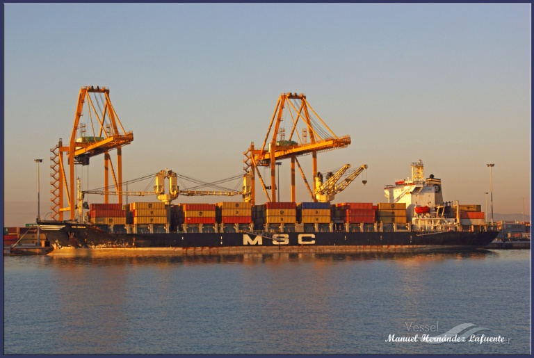MSC NICOLE, Container Ship - Details and current position - IMO 8509387 ...