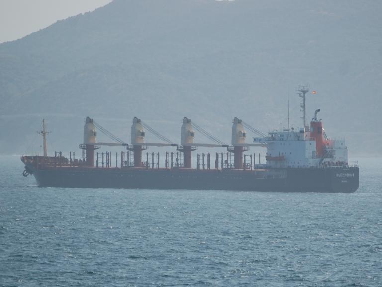 AMIRA AMAL, Bulk Carrier - Details and current position - IMO 8511720 ...