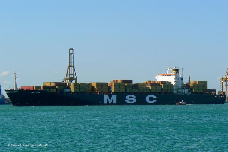 MSC TINA, Container Ship - Details and current position - IMO 8512243 ...