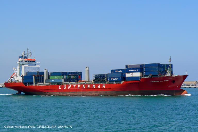 RIA, Container Ship - Details and current position - IMO 8513792 ...