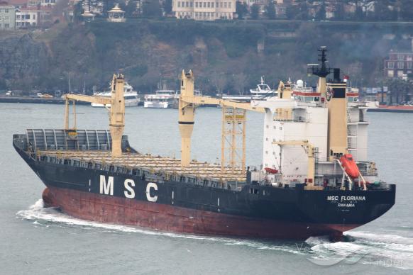MSC FLORIANA, Container Ship - Details and current position - IMO ...