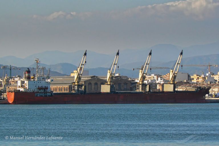 BRIGHT RUBY, Bulk Carrier - Details and current position - IMO 8604474 ...