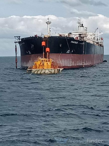 THAPSUS, FSO - Details and current position - IMO 8613736 - VesselFinder
