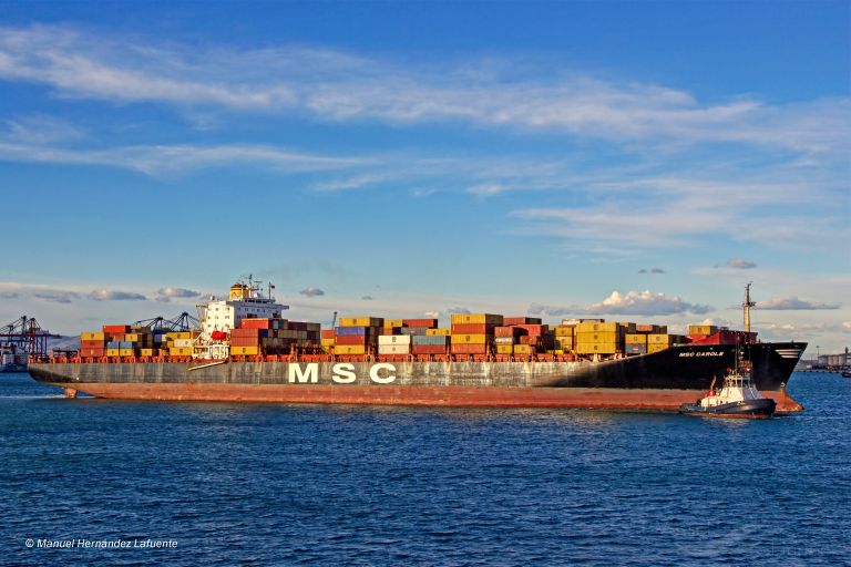 MSC CAROLE, Container Ship - Details and current position - IMO 8618308 ...
