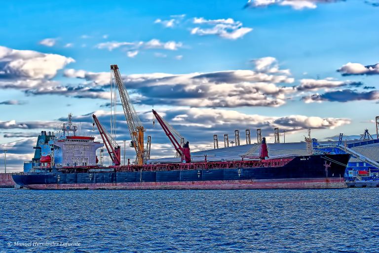 MARIA II, Bulk Carrier - Details and current position - IMO 8618968 ...