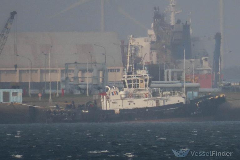 TAI CHIN 203, Tug - Details and current position - IMO 8660404 ...