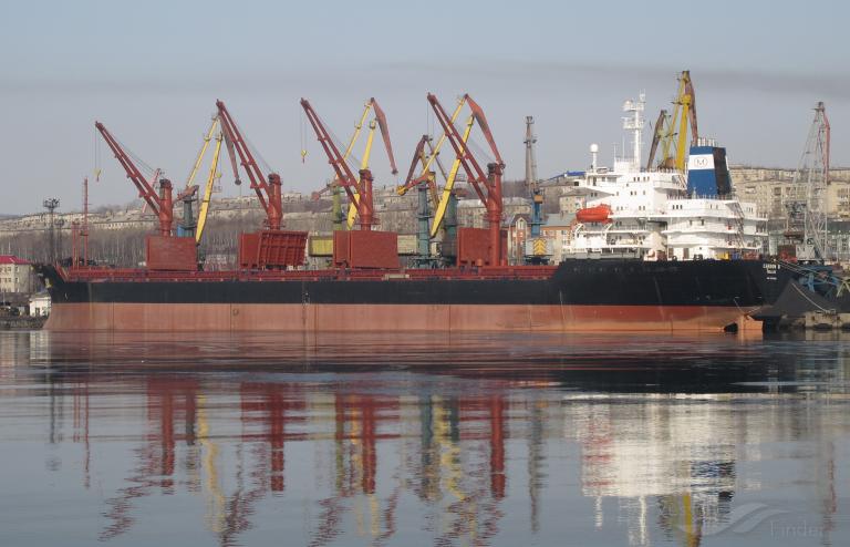 ETERNITY, Bulk Carrier - Details and current position - IMO 8701480 ...