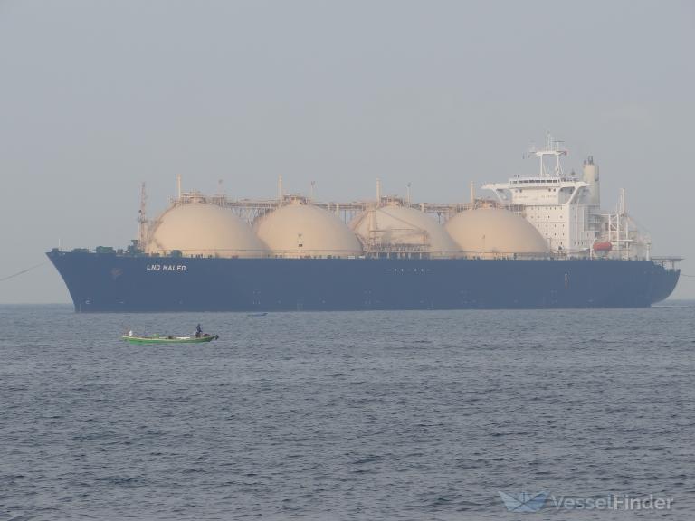 LNG MALEO, LNG Tanker - Details and current position - IMO 8701791 ...