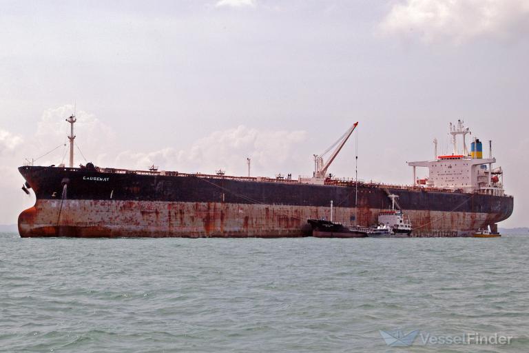 WELMOUNTAIN, Bulk Carrier - Details and current position - IMO 8802430 ...
