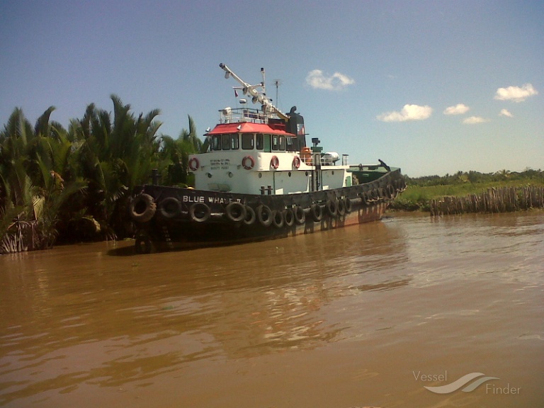 BLUE WHALE II, Tug - Details and current position - IMO 8837722 ...