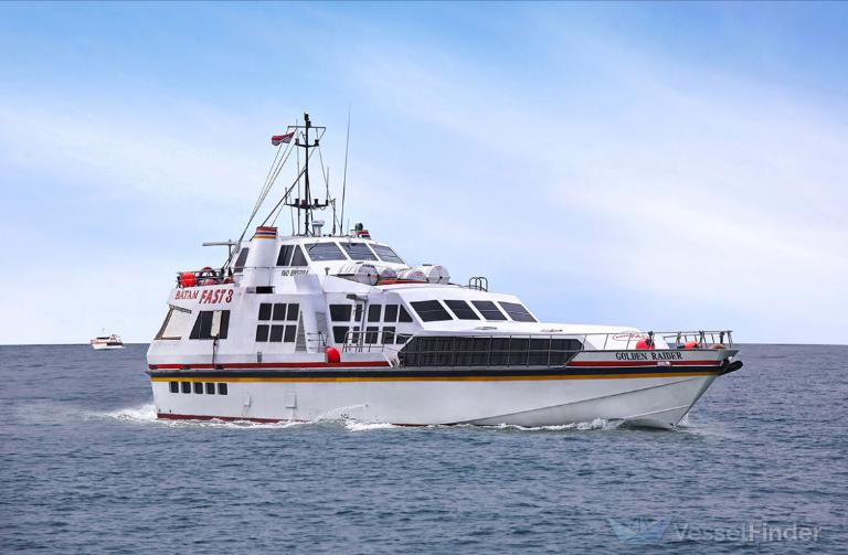 GOLDEN RAIDER, Passenger Ship - Details and current position - IMO ...