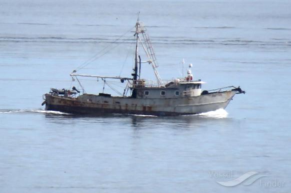 BLUE STEEL, Fishing Vessel - Details and current position - IMO 8853324 ...
