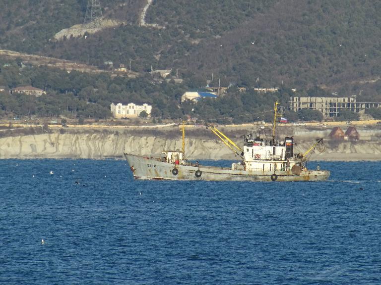ZARYA, Fish Carrier - Details and current position - IMO 8862105 ...