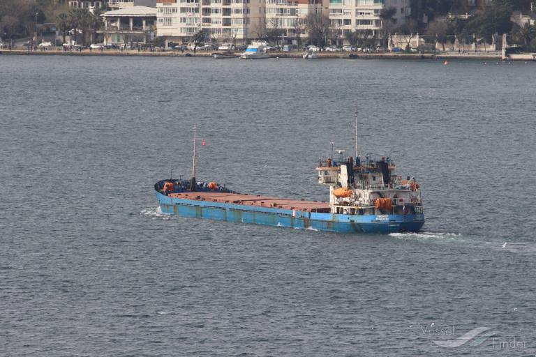 PIONEER, General Cargo Ship - Details and current position - IMO ...