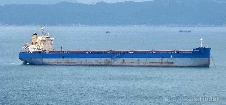 MARINA 1, General Cargo Ship - Details and current position - IMO ...