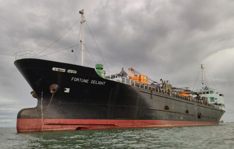 FORTUNE DELIGHT, General Cargo Ship - Details and current position ...