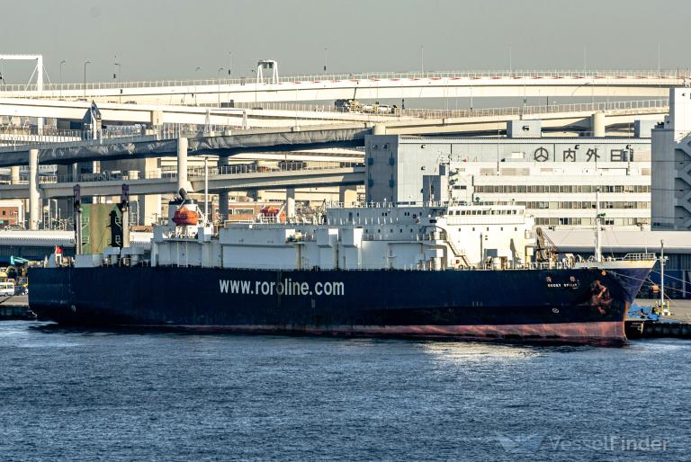 DUCKY SPIRIT, Ro-Ro Cargo Ship - Details and current position - IMO ...