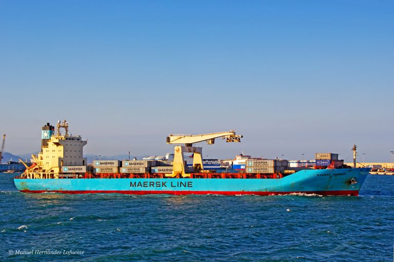 ANGIE, Container Ship - Details and current position - IMO 8905543 ...