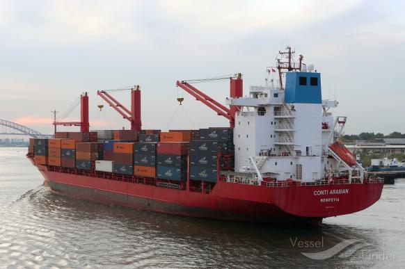 RON, Container Ship - Details and current position - IMO 8905878 ...